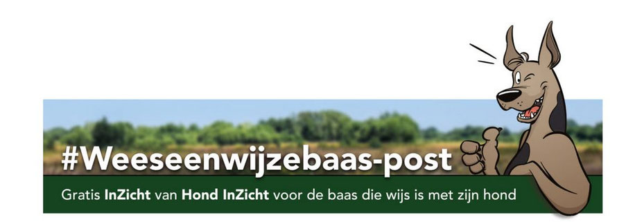 Snuffeltuin verhalen - De website van snuffeltuinen!