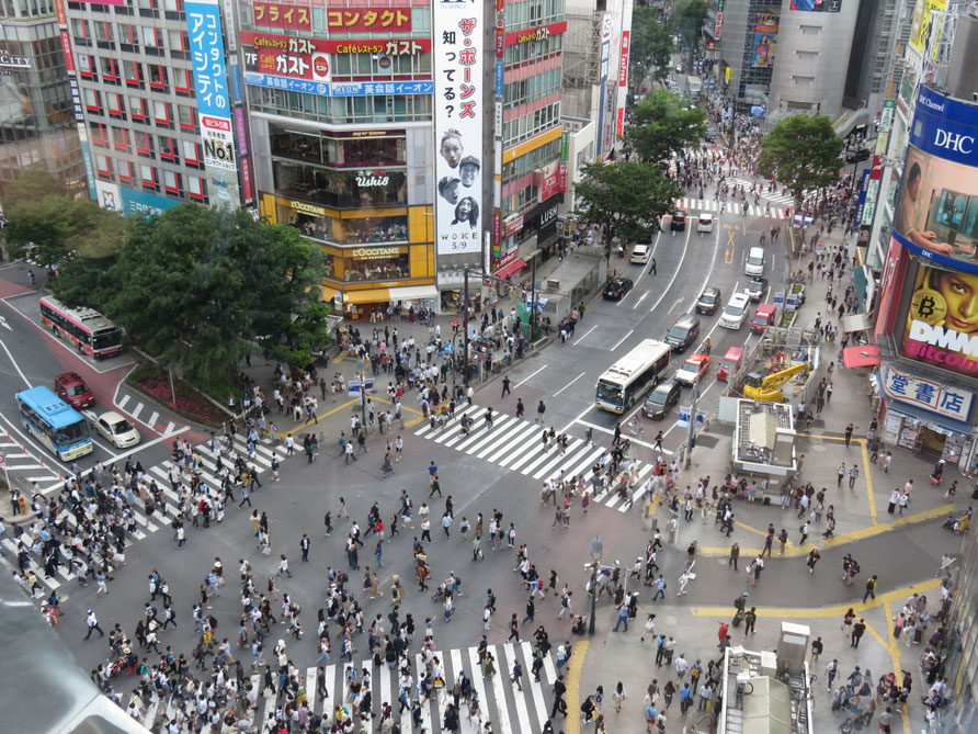 New spot to view the Shibuya Crossing - Ken Tanaka Tokyo English Tour Guide