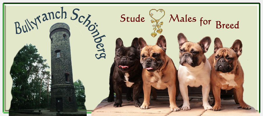 Über uns - bully-ranch-schoenbergs Webseite!