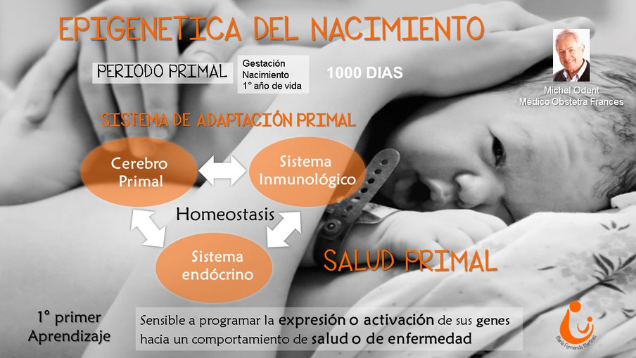 Salud Primal - Masaje Infantil