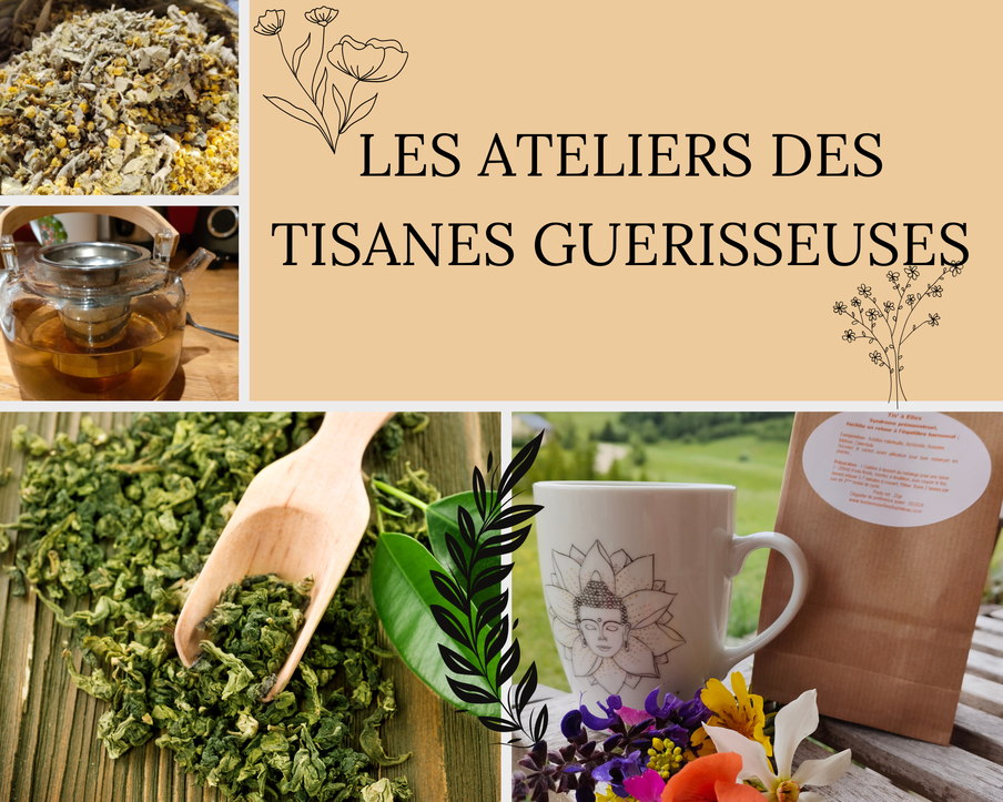 Un atelier sur mesure - Les Demoiselles du Plateau - Créatrices de tisanes