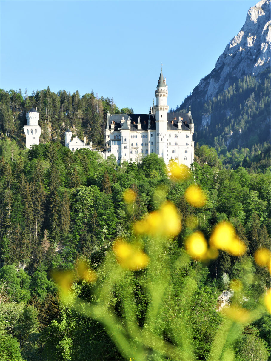 Schloss Neuschwanstein Aussichtspunkte & Fotospots [+ Geheimtipps ...