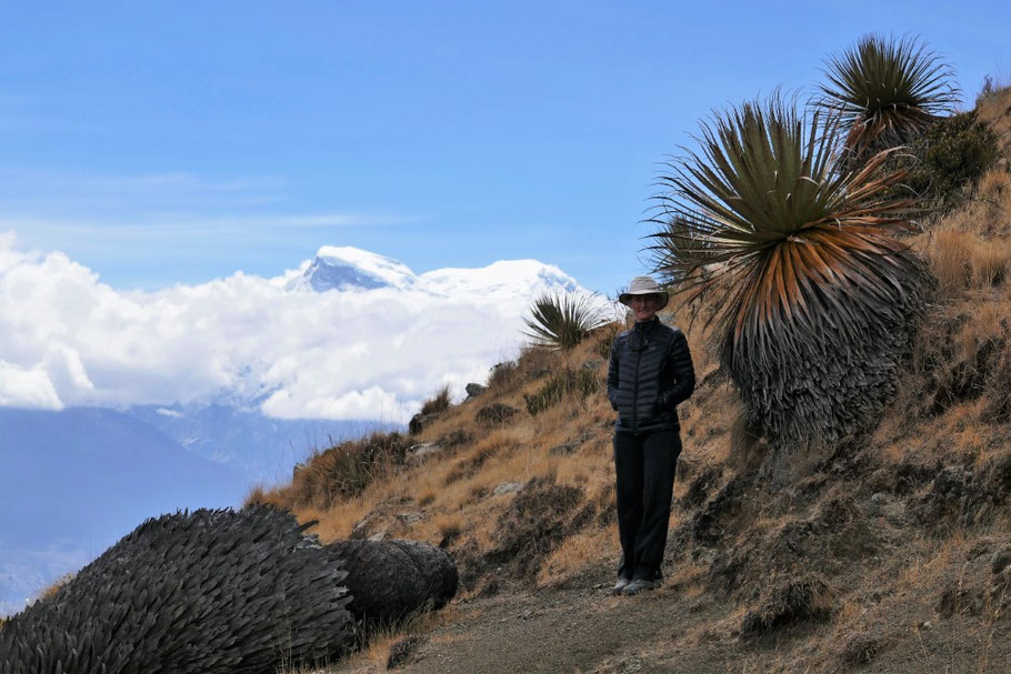 Perú's High Andes - brockfolk