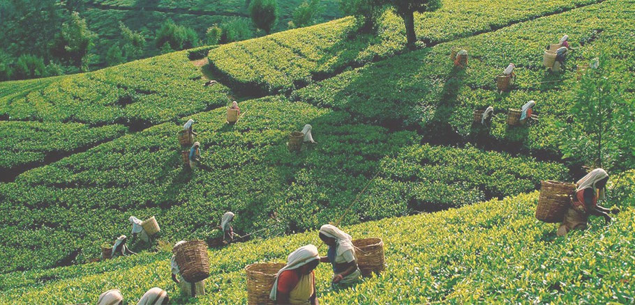 Office Areno株式会社 - areno ページ！