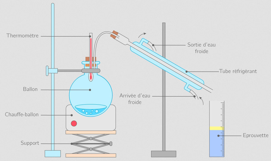 Extraction par Hydrodistillation - Site Ellasciences de Sciences ...