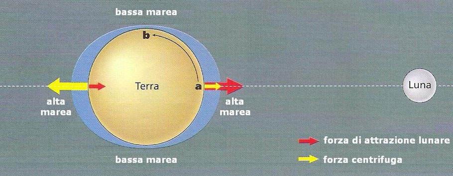 Le maree - Benvenuti su scienzenaturali1at!