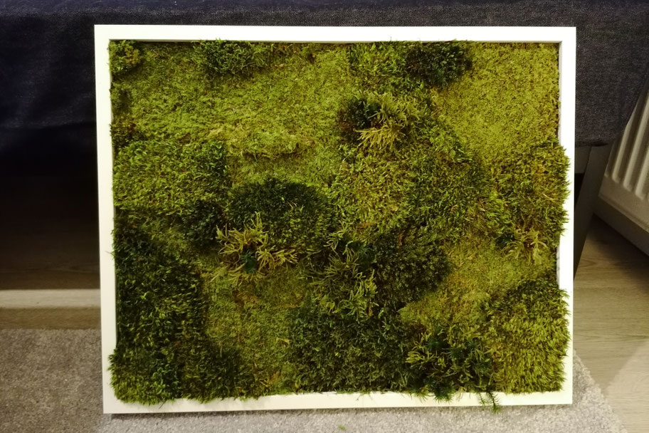 Moosbild DIY basteln - Erlebnisse für Teenager Geburtstag