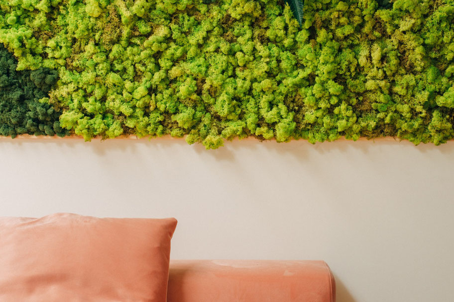 Moosbild DIY basteln - Erlebnisse für Teenager Geburtstag