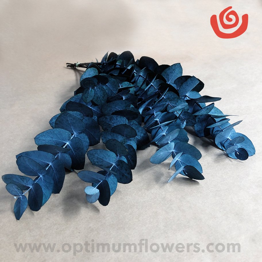 Preserved Flowers - Optimum Flowers