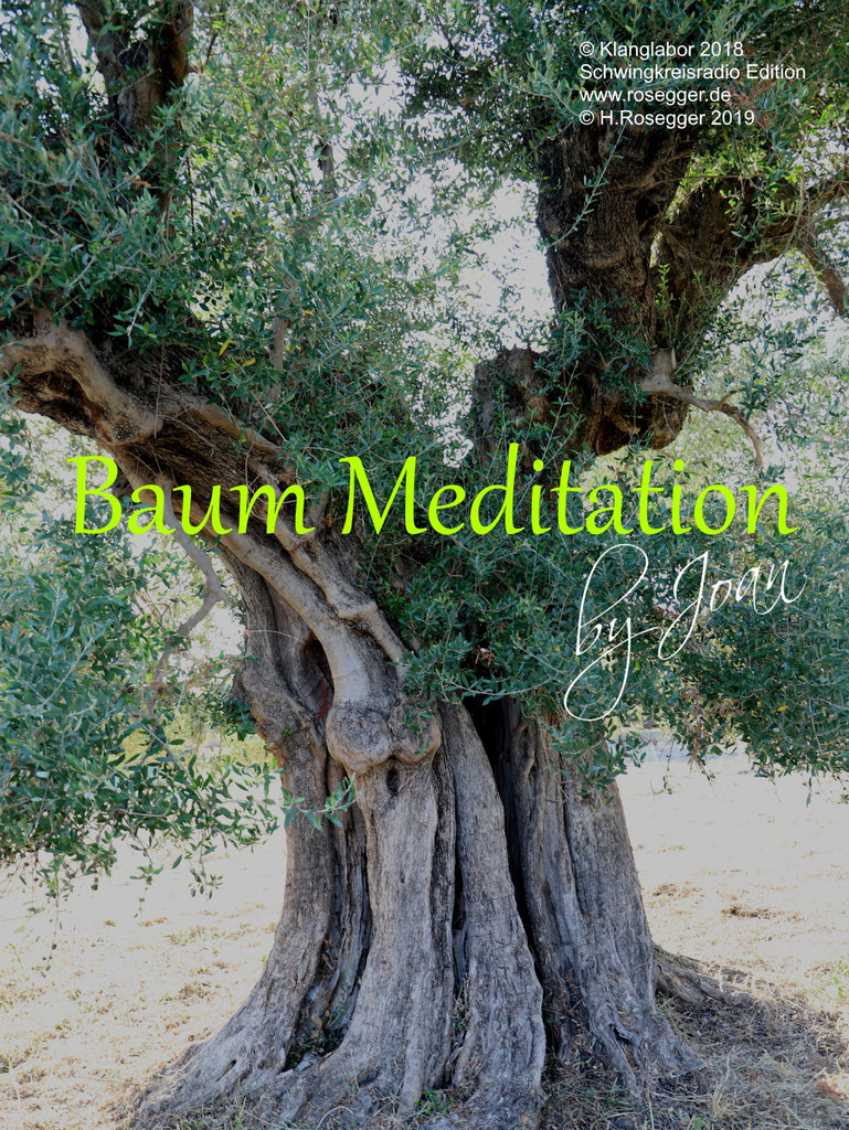 Baum Meditation - schwingkreisradio