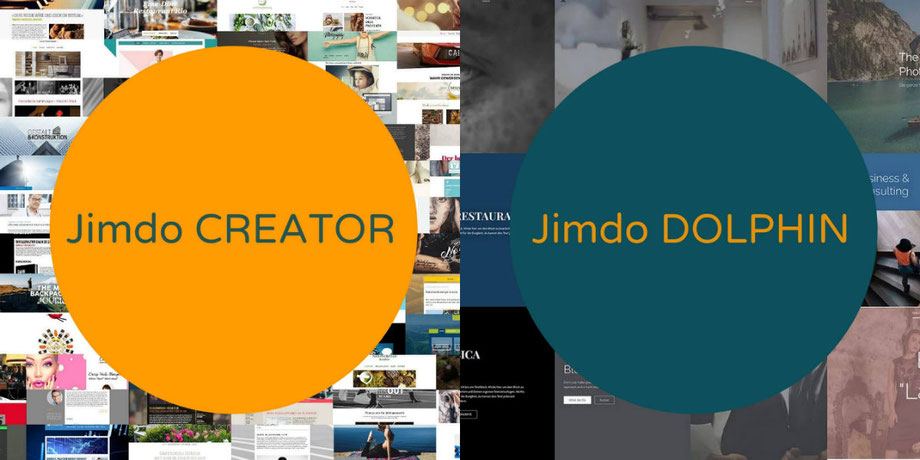JIMDO Creator oder Dolphin? Die wichtigsten Unterschiede kurz erklärt ...