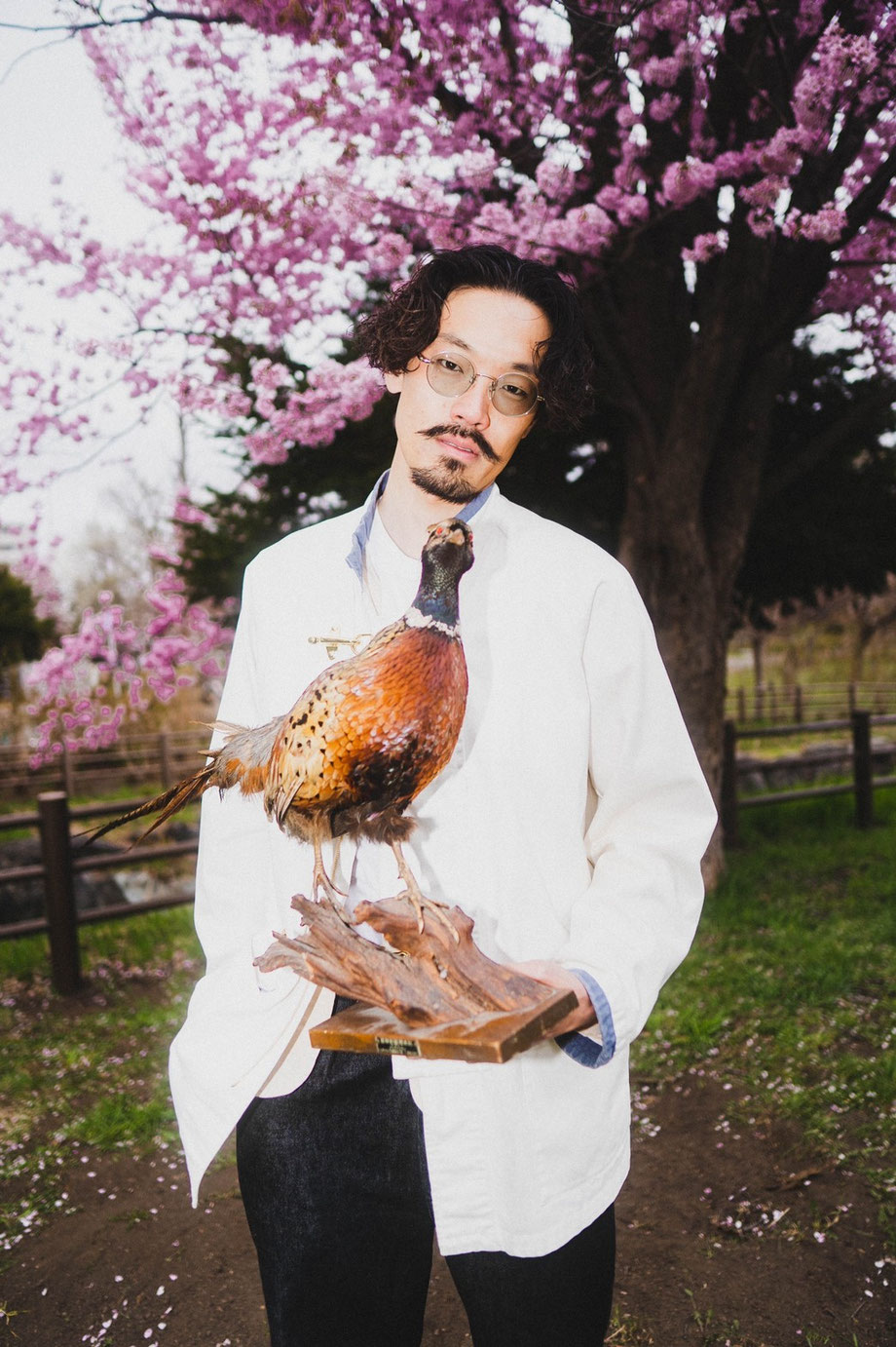 calico - qumo011 ページ！