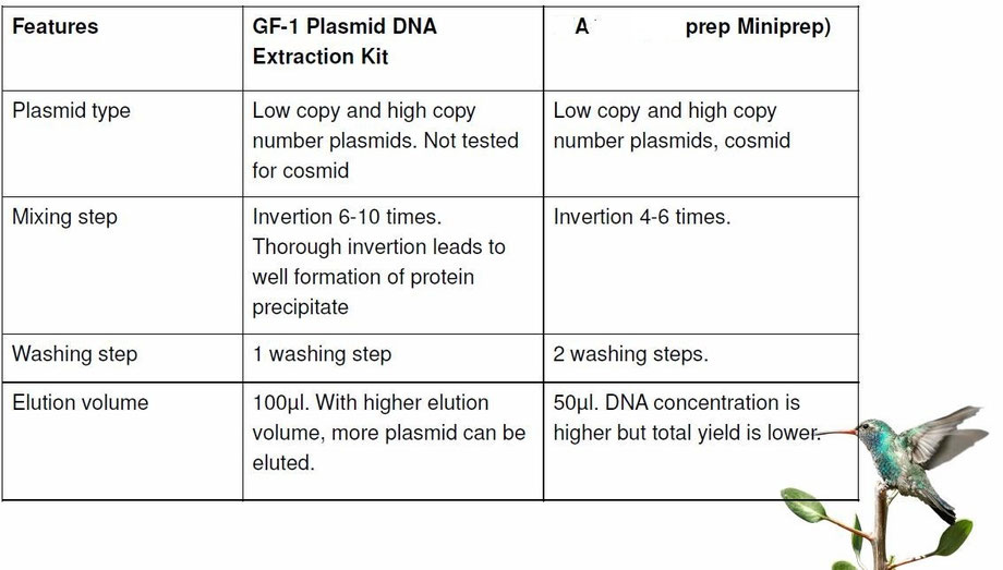 Plasmid DNA Purification - GeneON BioScience