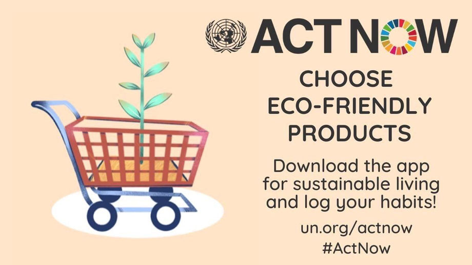 Act Now - The UN Campaign for Individual Action - BPW International