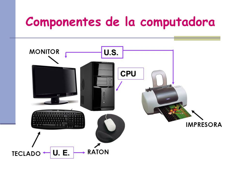 hardware componentes internos