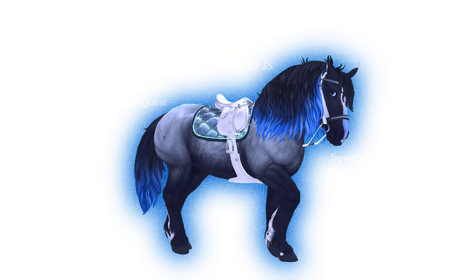 Outfit - sso-team-star-dressages Webseite!