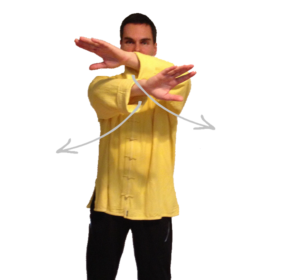 Pre-Push-Looseners: - Chi Pushing & Chi Skogging - The "Tai Chi" of ...