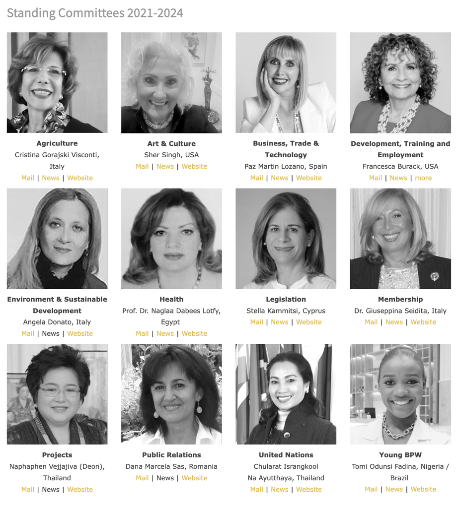 Know Your Constitution #4 - Standing Committees - BPW International