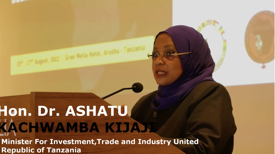 Minister Hon. Dr. Ashatu Kachwanba Kijaji at Africa Conference in ...