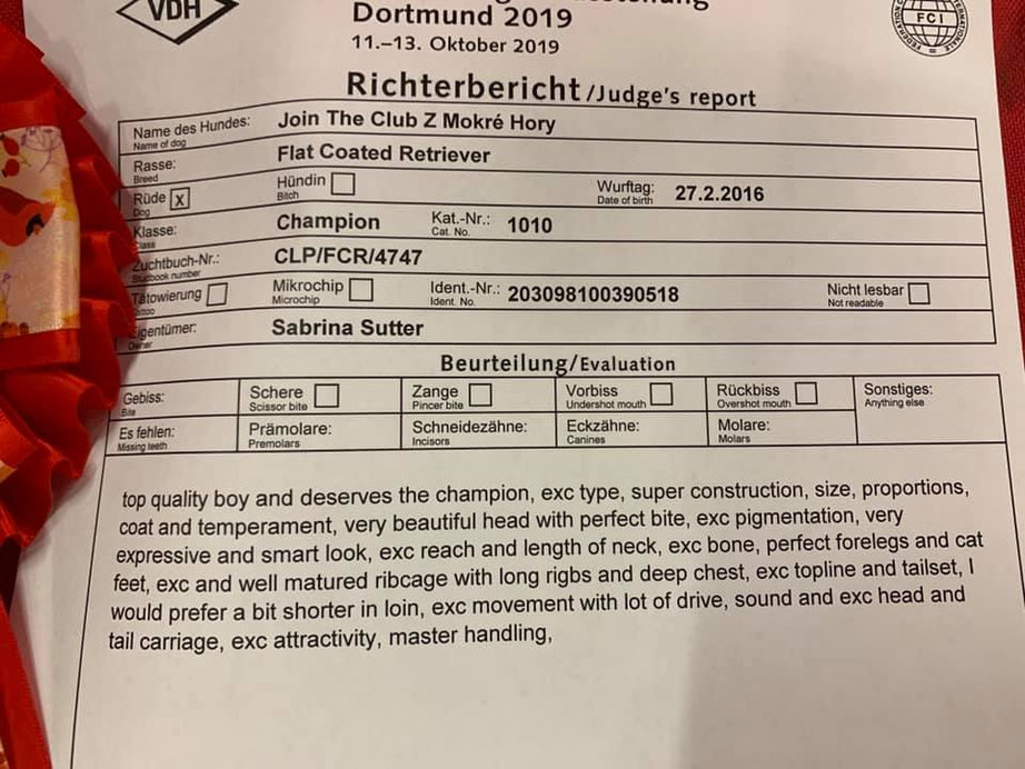 NEWS - Kennel Thunderwood Flatcoated Retriever