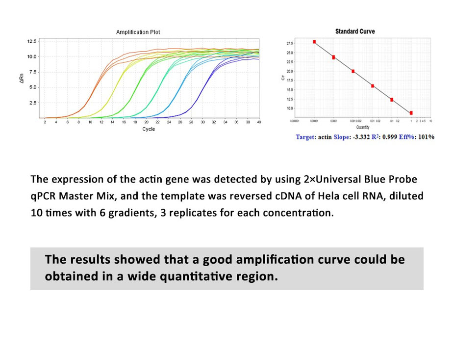 Universal qPCR Mix with SybrGreen and blue dye Luna - GeneON BioScience