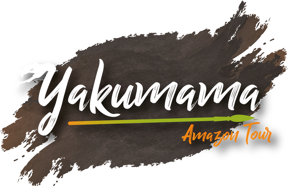 La Leyenda de la Yacumama - Yakumama Amazon Tours