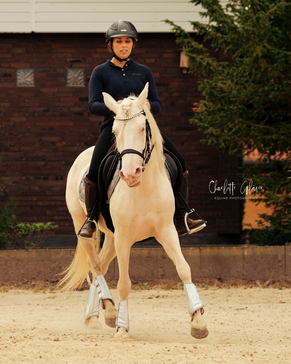 Reitkurs Seitengänge - LHN Trainingsstall