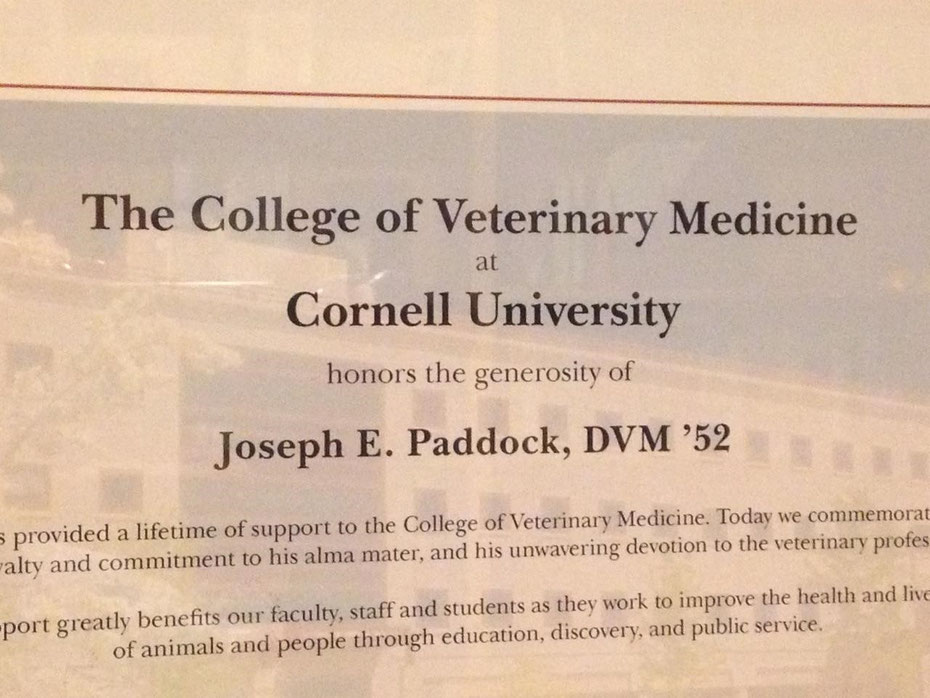 Joe Paddock- Profile. - emilycase