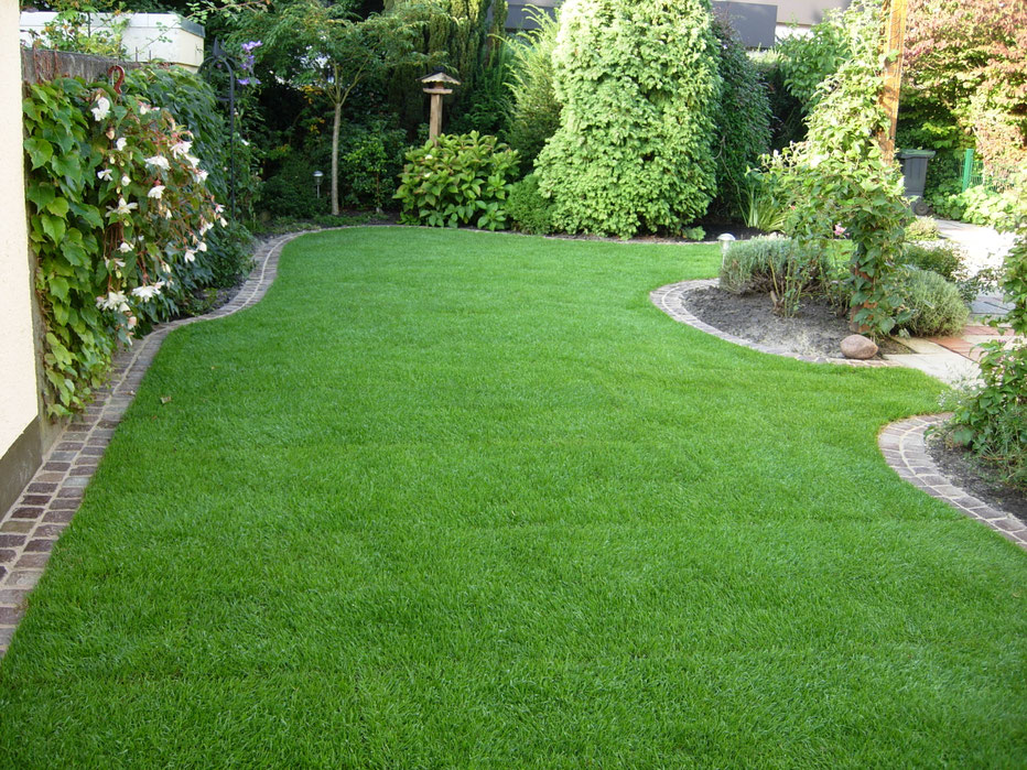 Rasen - Borgmeier Garten- und Landschaftsbau GmbH
