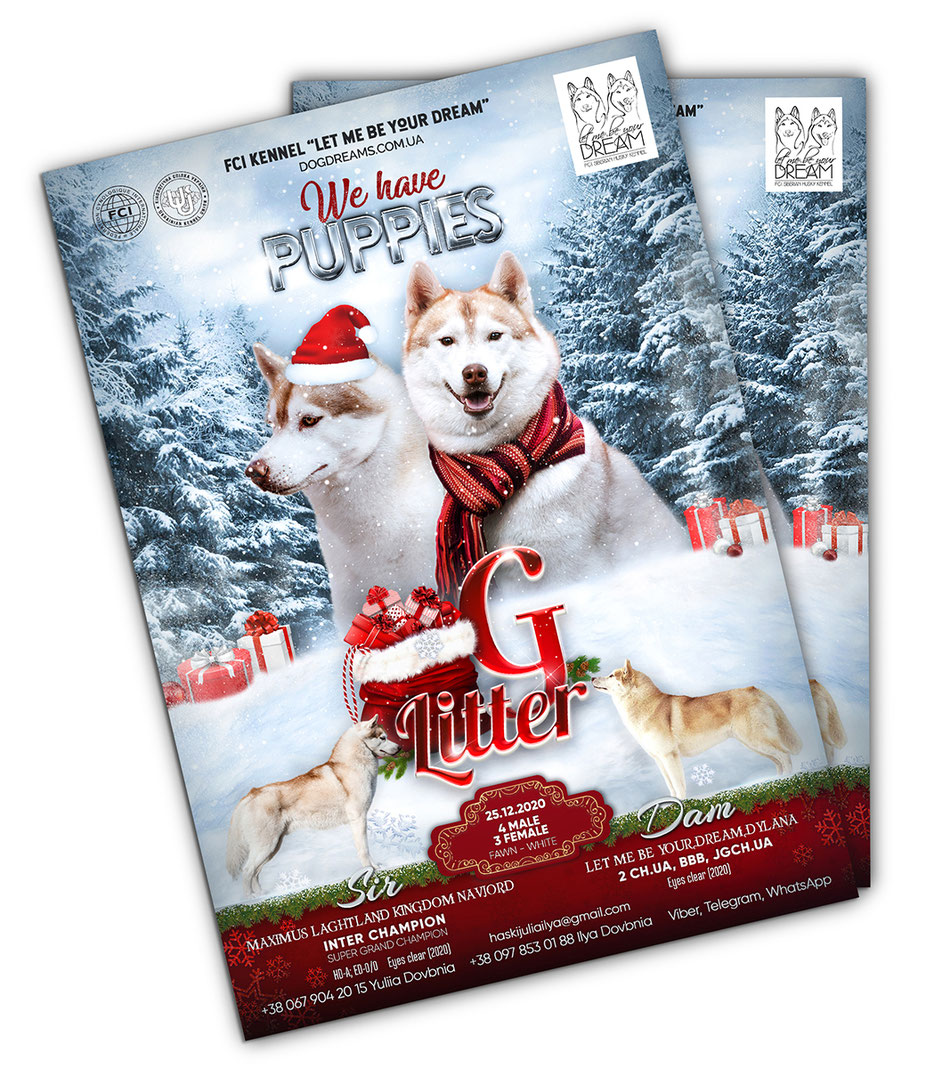 ADVERTISING WITH ANIMALS - PR & Design Studio LA BEAUTY