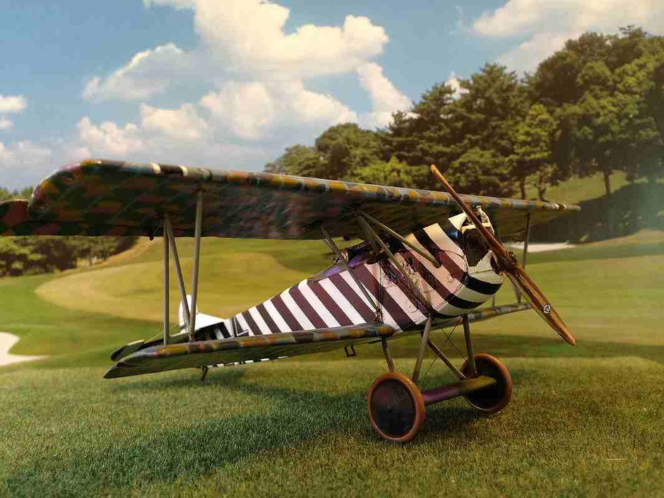 Ulrich Neckel(30kills) - WW1 Aces