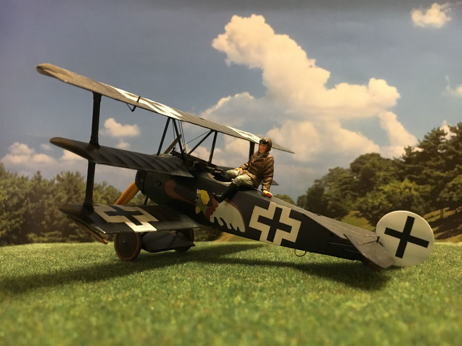 Josef Jacobs(48kills) - WW1 Aces
