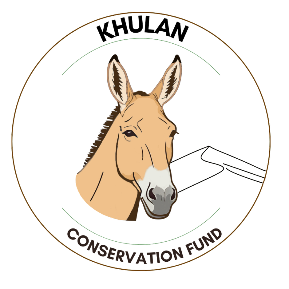 THE KHULAN CONSERVATION FUND - Mongolian wild ass/khulan conservation ...