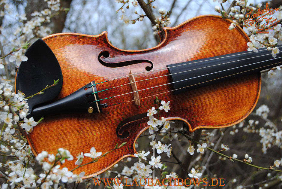 The sound and the right choice of the violin - Laubach violin workshop