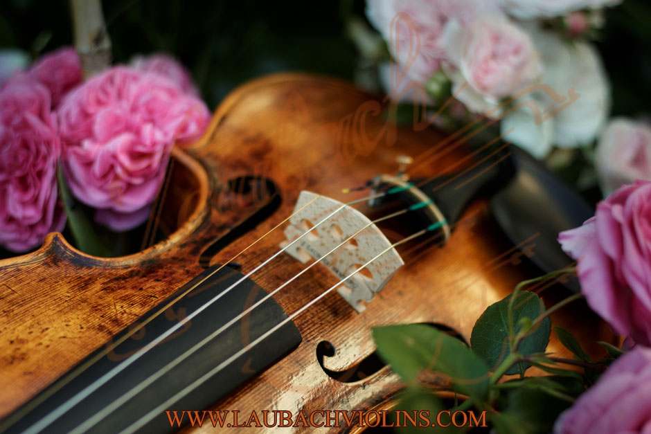 The sound and the right choice of the violin - Laubach violin workshop