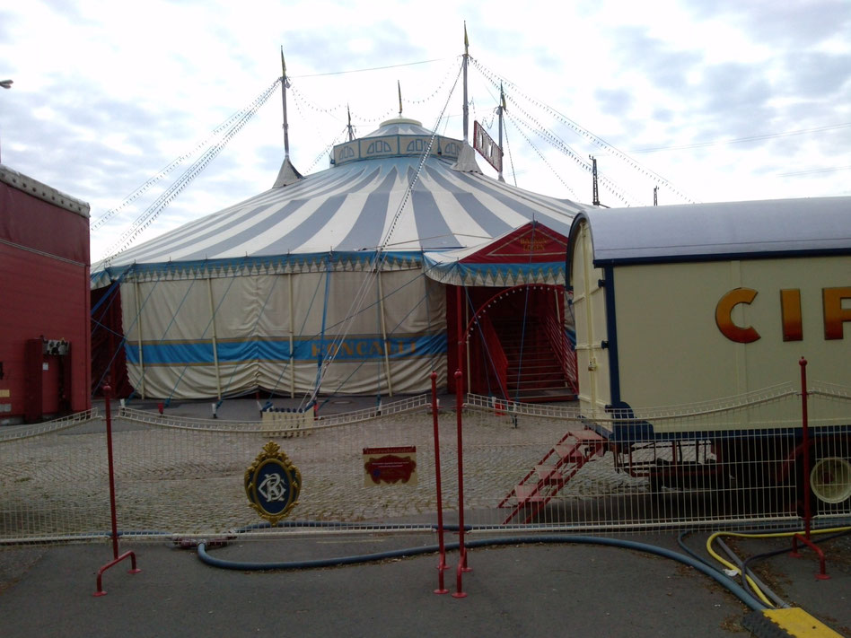 Dresden 2015 - circus-gastspiele