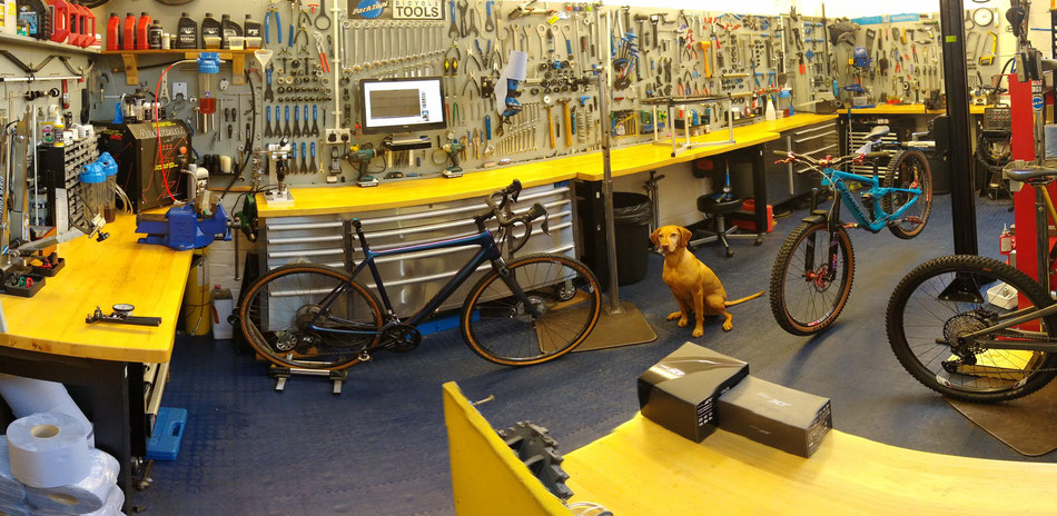 bicycle workbench ideas