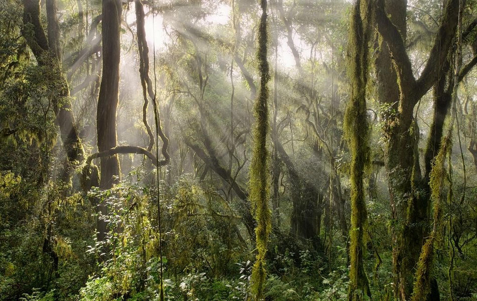 Welcome to Pulp Heroines - pulpheroines-adventure-taless Webseite!