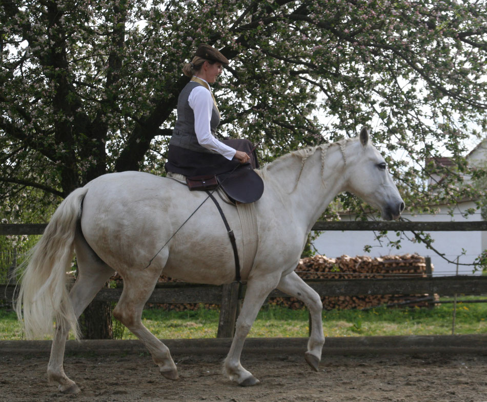 Das Damensattel-Reiten - www.alta-escuela.de