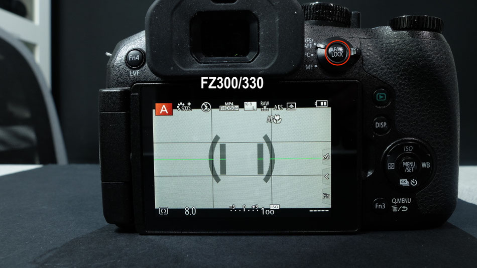 Panasonic Bridge Camera Revisited - Graham's Photography Blog & Technical Reviews