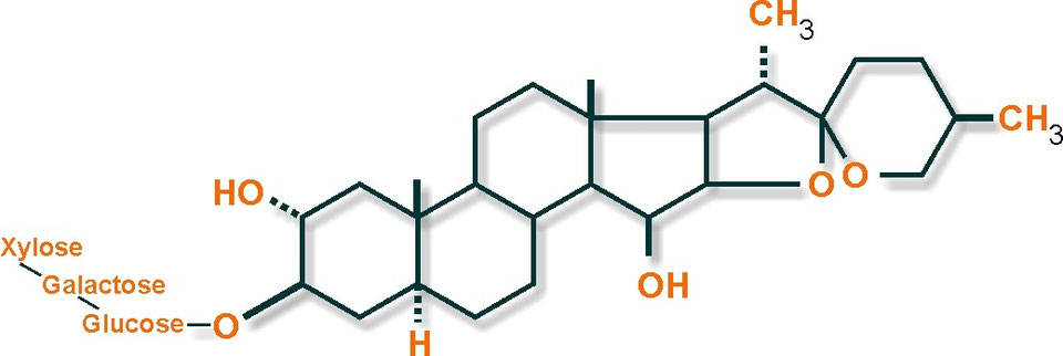 Saponins - Pharmacognosy - Medicinal Plants
