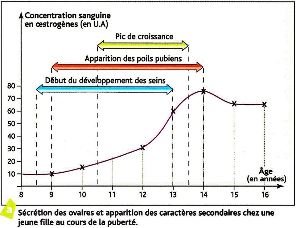 La communication hormonale au sein de l'organisme - Site de cours de ...