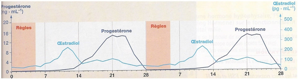 La communication hormonale au sein de l'organisme - Site de cours de ...