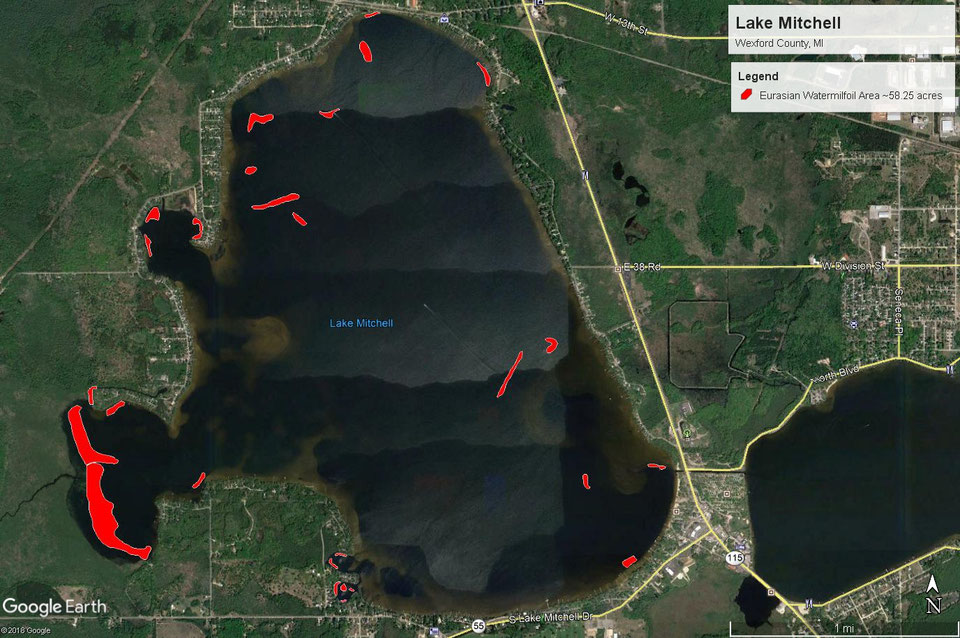 Treatment Area Maps - Lake Mitchell - Cadillac, Michigan