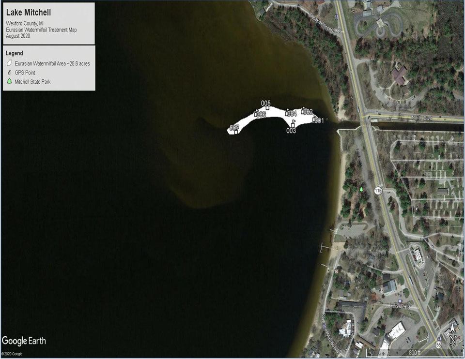 Treatment Area Maps - Lake Mitchell - Cadillac, Michigan