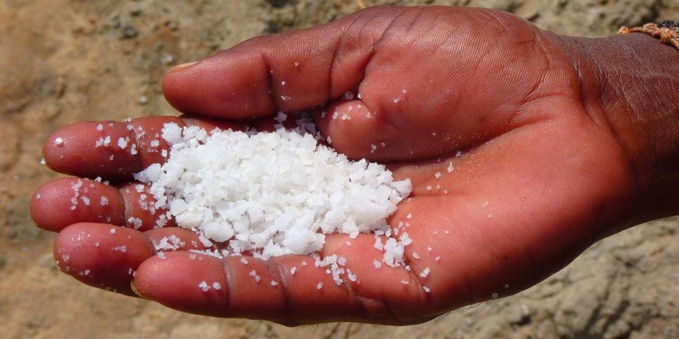 Did the Romans really salt the earth of Carthage? - History Skills