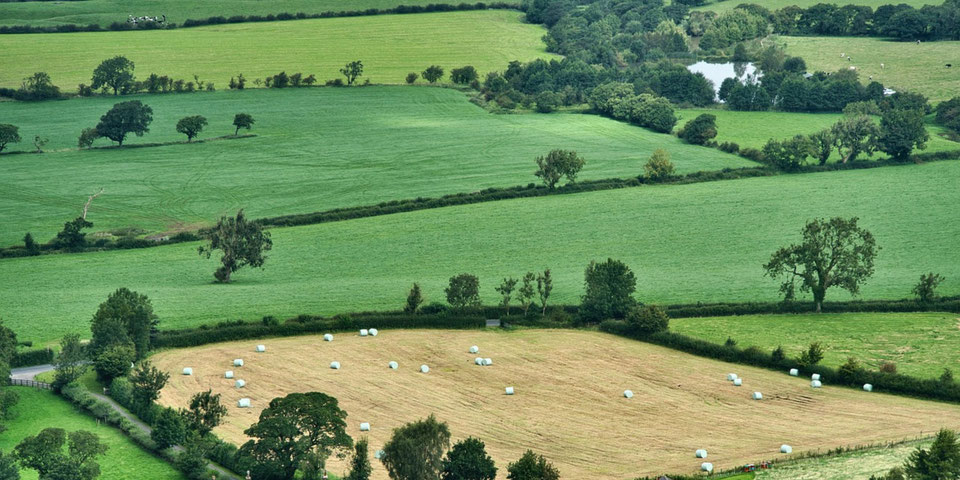 The impact and legacy of Russian collectivisation - History Skills