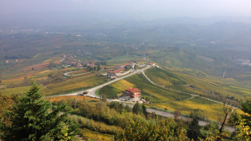Verduno (Piedmont) - Vacationing Flamingos