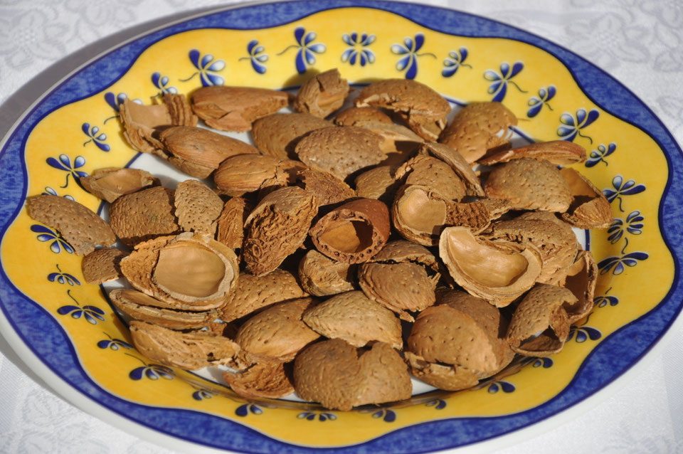 AMANDES EN COQUE (EN VRAC) - AMANDES D'EXCEPTION : les seules 100% ...