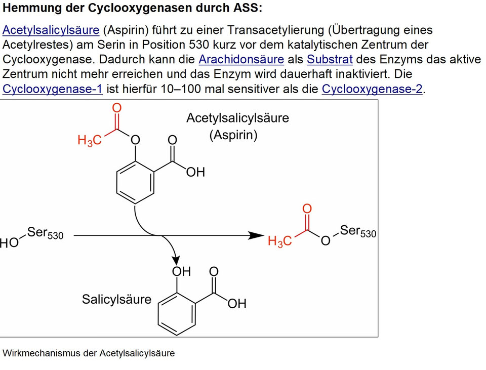 Wie wirkt Aspirin? - Chemiestunde bei Herrn Griesar